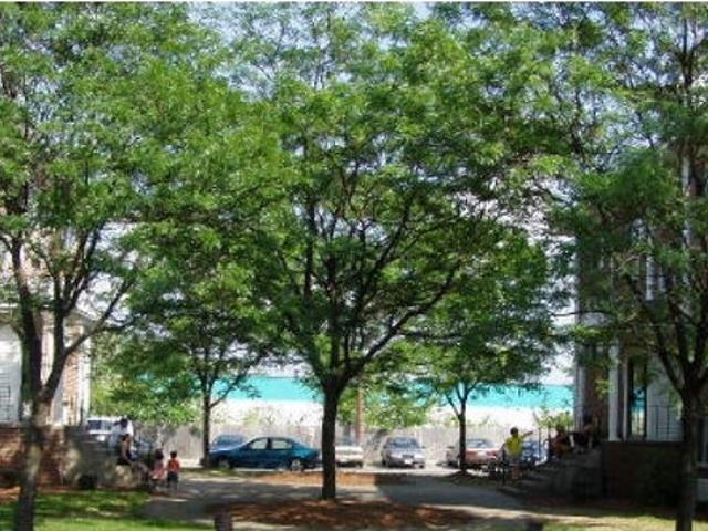 150 2nd St Apt 206, Framingham, MA 01702