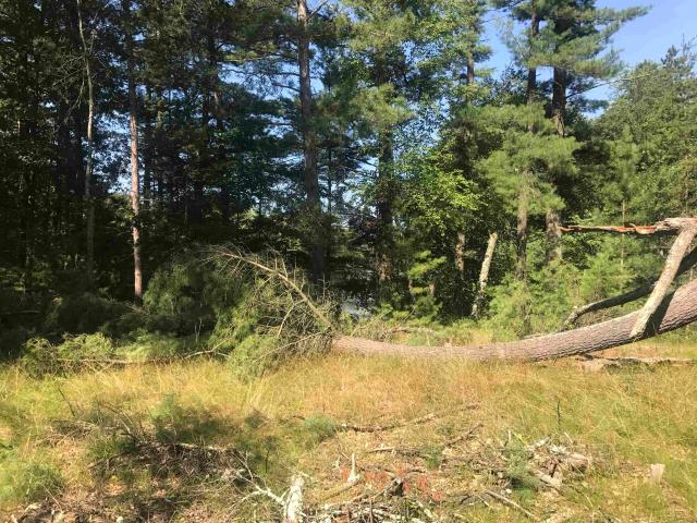 150.61 ac Fawn, Peshtigo, WI 54157 | MLS #2004
