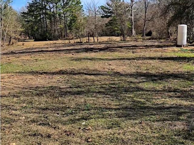 150 County Road 6774