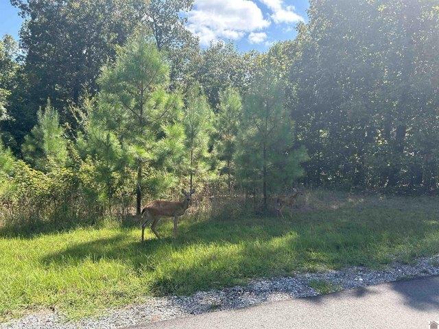 150 Centerview Rd, Murray, KY 42071