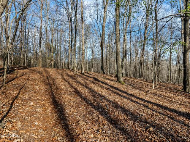 150 Clear Branch Rd N