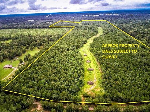 150 Ac County Road 433, Carthage, TX 75633