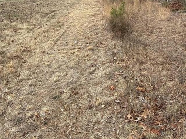 150 Blue Mountain Ln, Alco, AR 72680