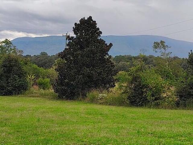150 Larry Lynch Rd, Delano, TN 37325 | MLS #1331