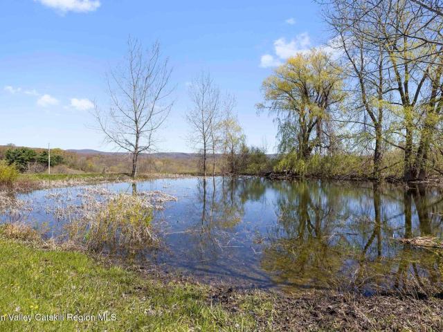 150 Sawchuck Rd, Millerton, NY 12546 | MLS #20262