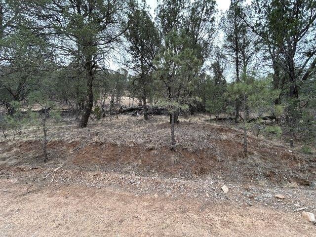 150 Shallow Creek Rd, Timberon, NM 88350