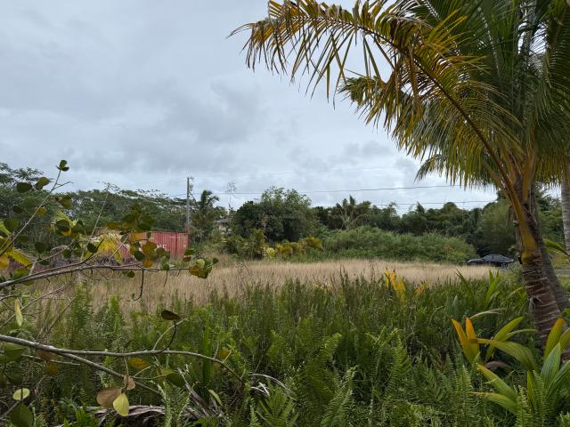 150 Puulena St, Pahoa, HI 96778 | MLS #728862