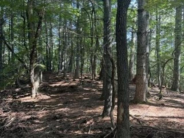 150 Wayah Rd, Franklin, NC 28734