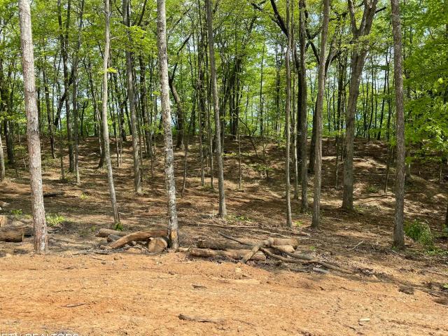 150 Timber Oaks Lane