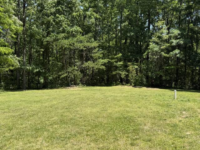 150A Dogwood Springs Dr