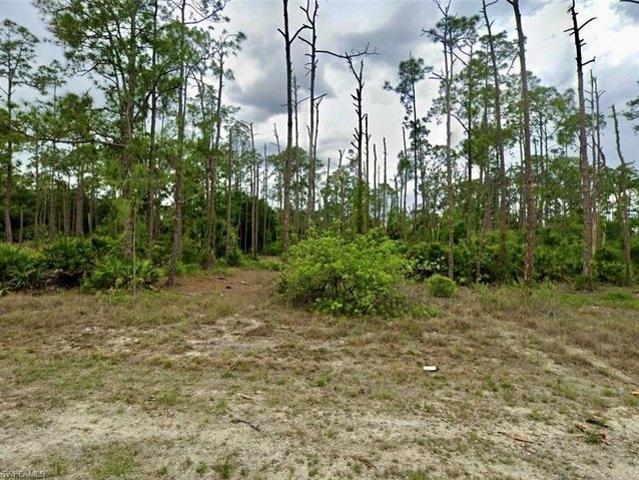 1515 Maple Ave N Lot 20, Lehigh Acres, FL 33972