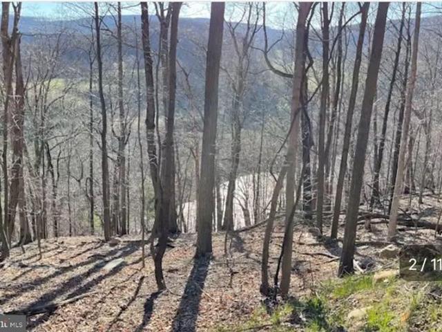 1515 Barnum Rd, Keyser, WV 26726