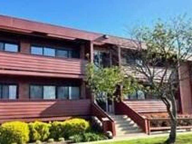 1515 S George Mason Dr #13, Arlington, VA 22204