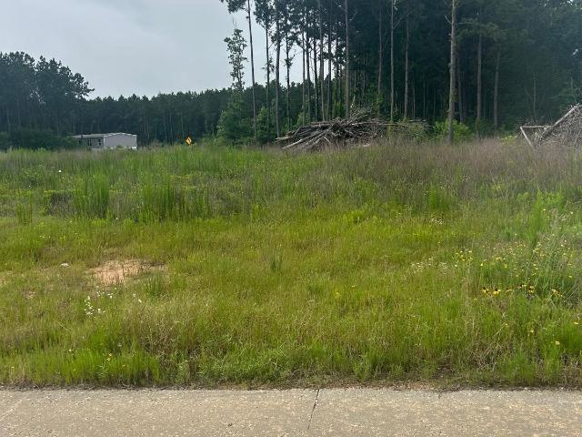 1517 Road 5894