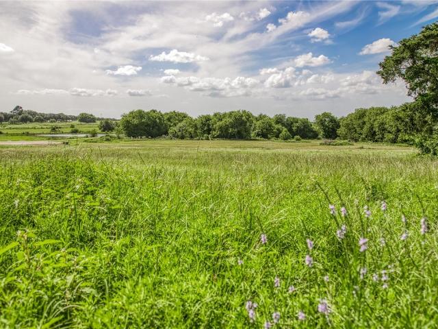 1518 Bluebonnet Ridge Drive