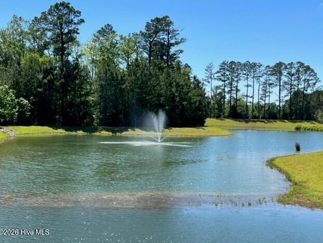 1518 E White Egret Ln NE, Unit 741, Bolivia, NC 28422 | MLS #100550