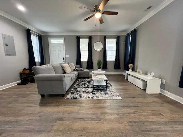 1518 Proescher Street Studio Apartment for Rent at 1518 Proescher St, Norfolk, VA 23504 Olde Huntersville