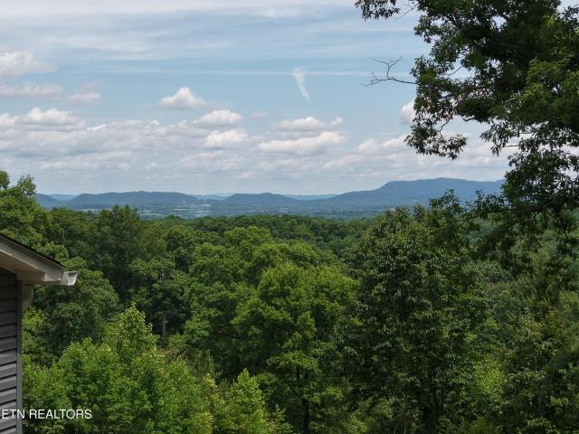 1518 Stony Point Rd