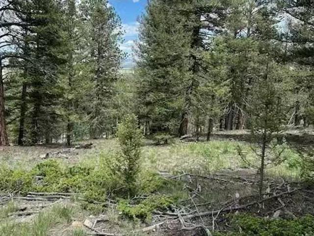 1519 BOLSTER DR, HARTSEL, CO 80449 Vacant Land For Sale MLS#.