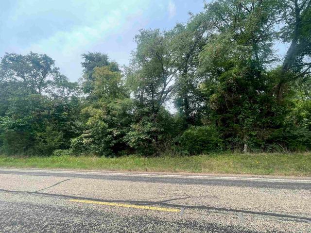 1519 St Pittsburg, TX 75686 | MLS #23008
