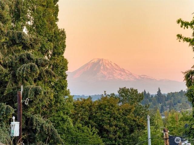 1519 14th Ave S Apt C, Seattle, WA 98144