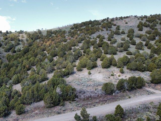 15102 S Shaggy Mountain Rd W, Herriman, UT 84096