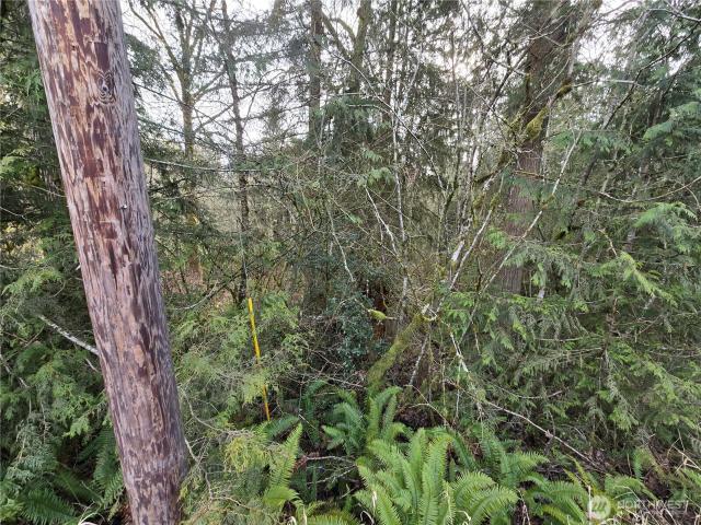15102 Scott Turner Rd E, Eatonville, WA 98328 | MLS #2481