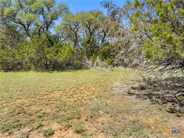 1510 Misty Ln, Spring Branch, TX 78070 | MLS #609989