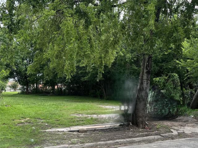 1510 Bayou Street