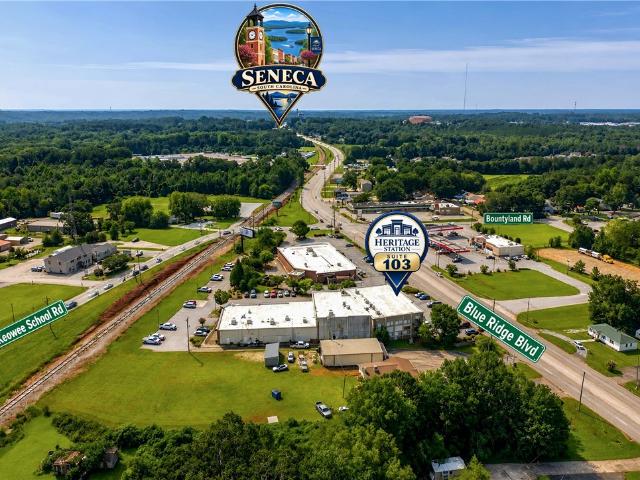 1510 Blue Ridge Boulevard 103