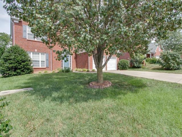 1510 Chestnut Springs Dr