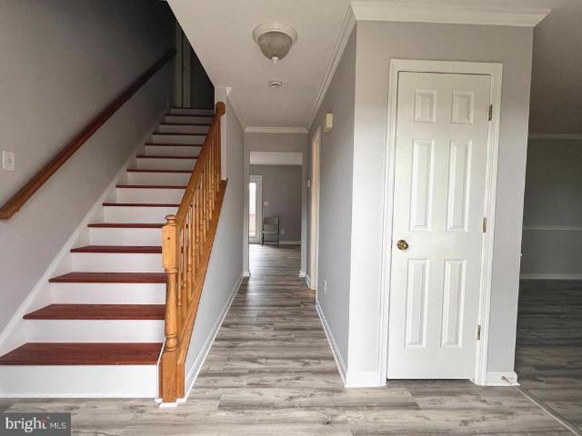 15116 Serbian Lane