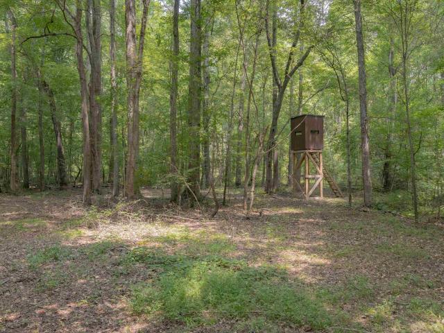 1511 Co Rd 74