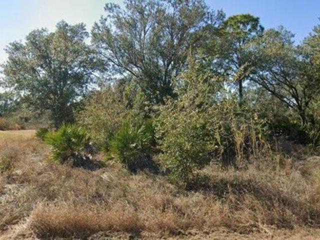 1511 Hibiscus Ave, Lehigh Acres, FL 33972