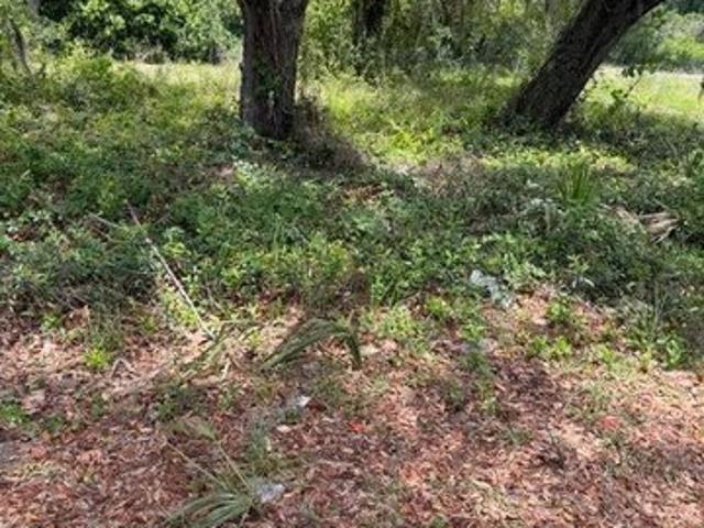 1511 Russell Ave, Eustis, FL 32726