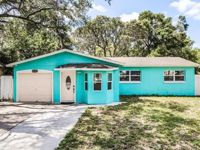 1512 Pine Ave, Mount Dora, FL 32757