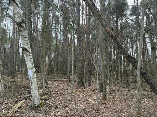 1512 22 Mile Road