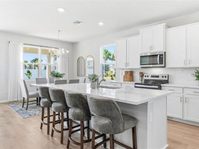 1513 Love Grass Ter, Parrish, FL 34219 | MLS #A4690