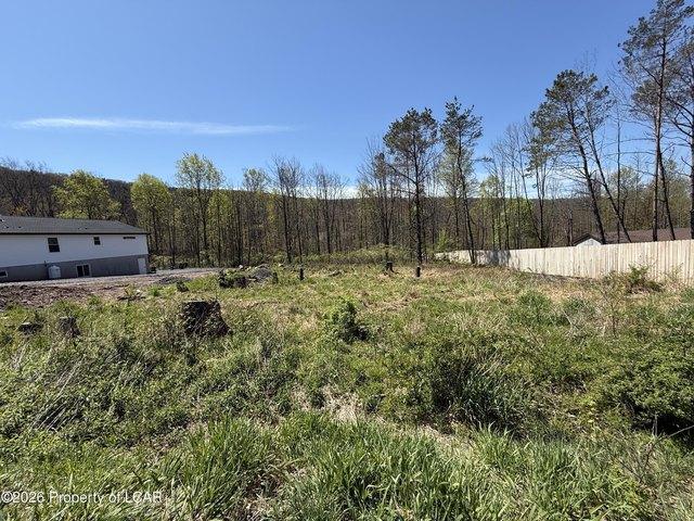 151 Freedom Rd, Drums, PA 18222