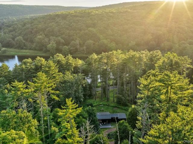151 Hankins Rd, Narrowsburg, NY 12764