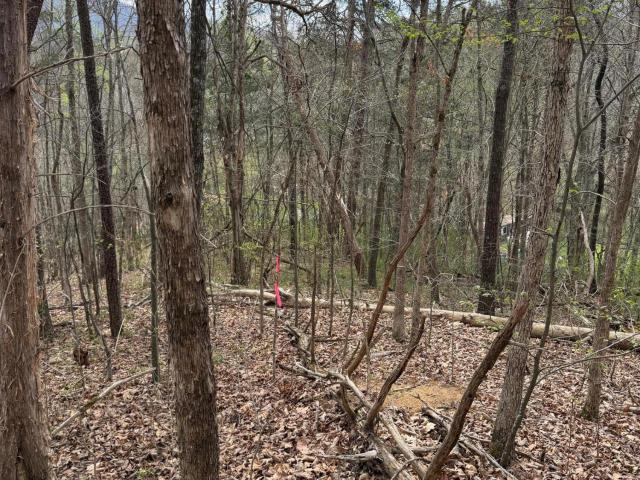151 Hennessey Mtn / Brisk Way