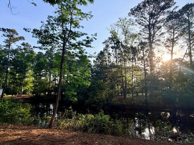 151 Heron Pointe Dr