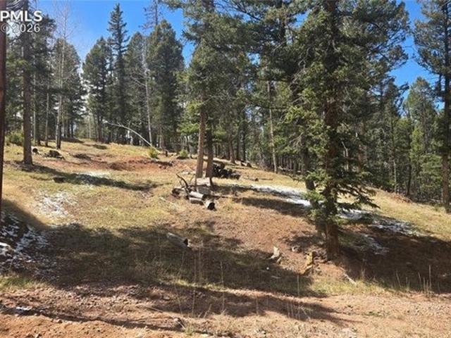 151 MT Elbert Rd, Florissant, CO 80816