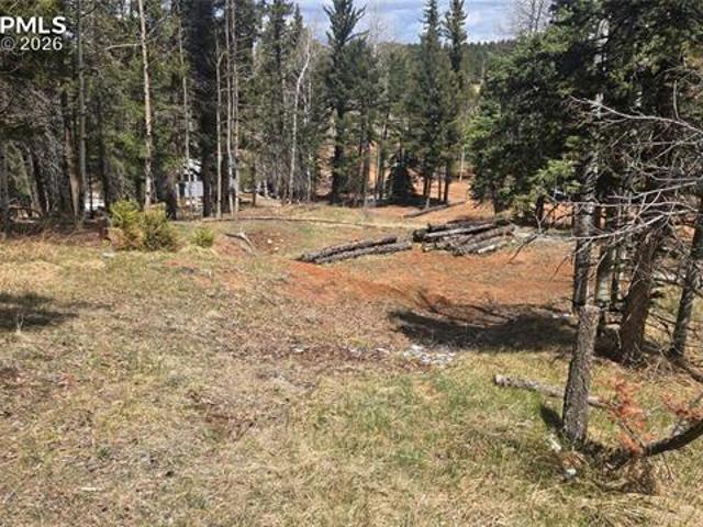 151 Mt Elbert Road