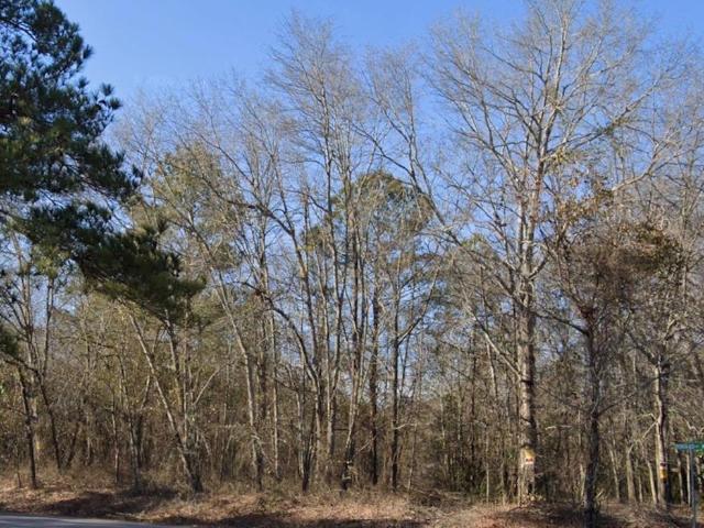 151 Shelton Road