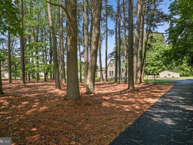 151 Peach Basket Rd, Felton, DE 19943