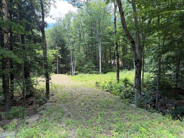 151 Red Coat Ln, Stoddard, NH 03464