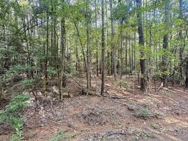 151 Wes Landry Dr, Hemphill, TX 75948