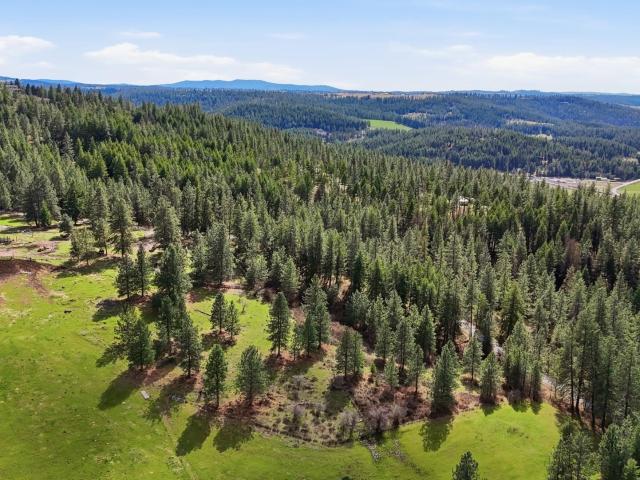 151 xx E Cooper Rd, Mead, WA 99021 | MLS #202615
