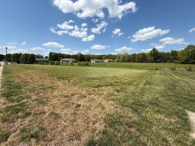 1524 Phyllis Drive